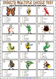 Insects ESL Vocabulary Worksheets